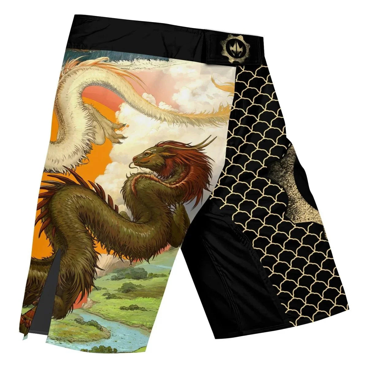 Twin Dragon Fight Shorts | Dragon BJJ Shorts | Dragon Muay Thai Shorts