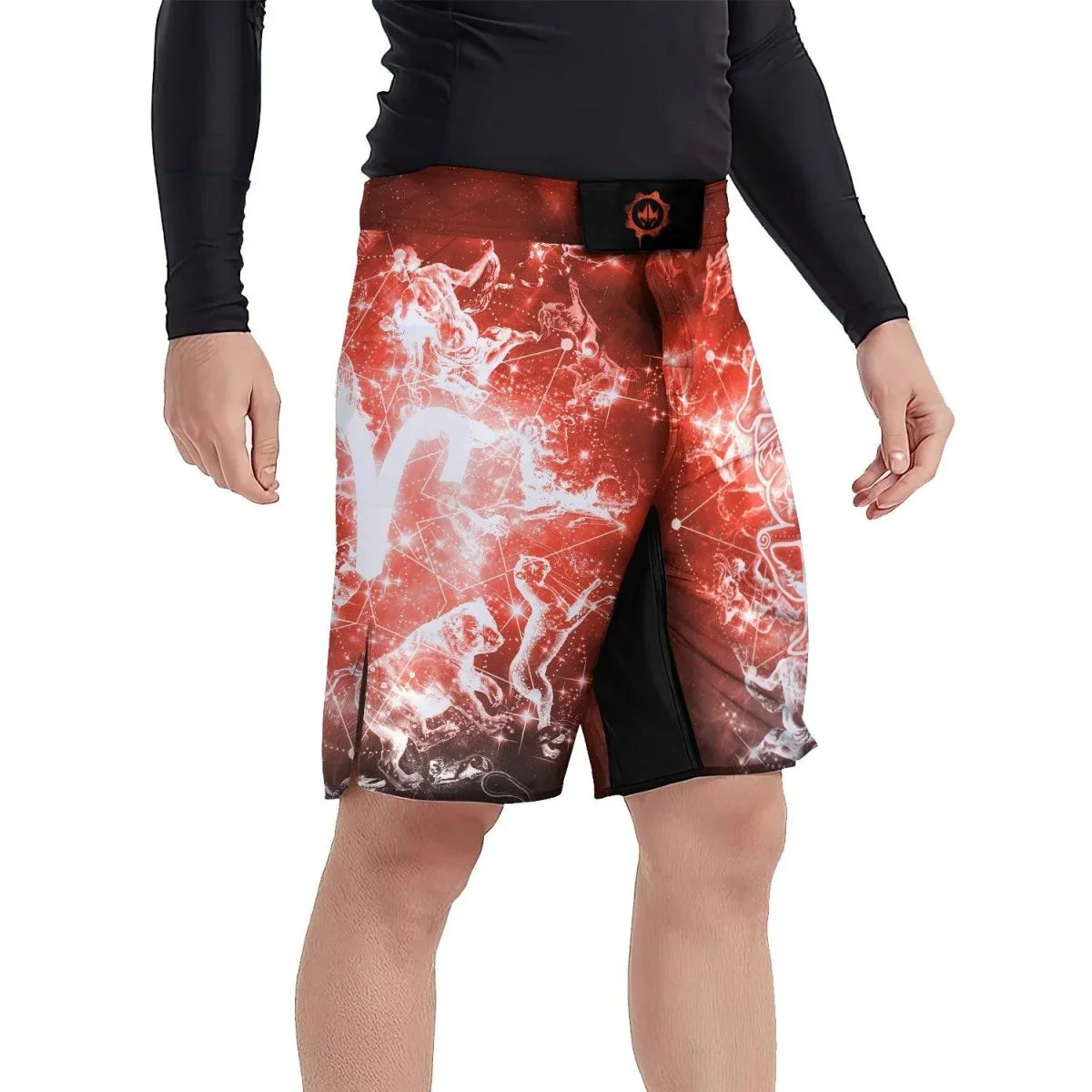 Zodiac Aries Fight Shorts | Aries Martial Art Shorts